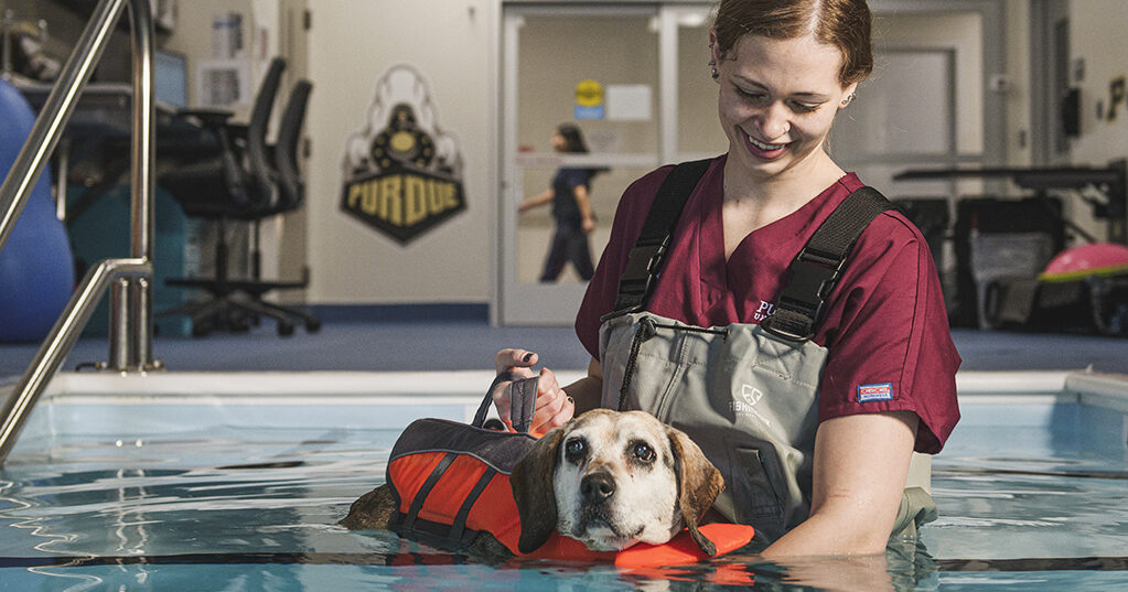 Veterinary Nurse Major — Purdue University
